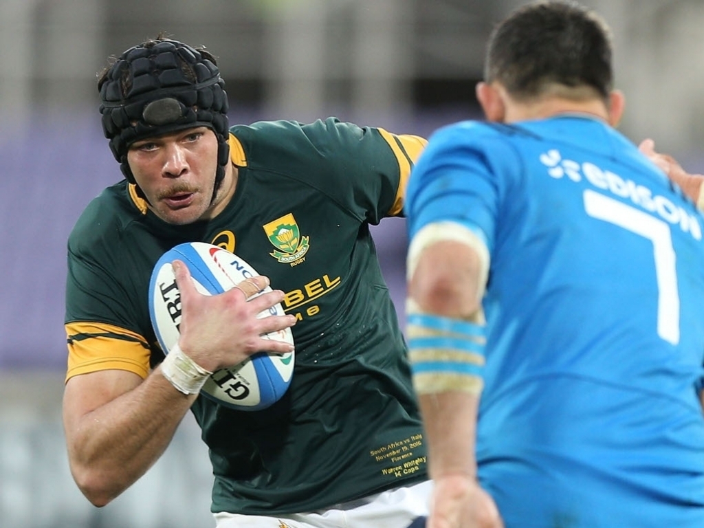 Gold backs Whiteley for Bok captain | PlanetRugby