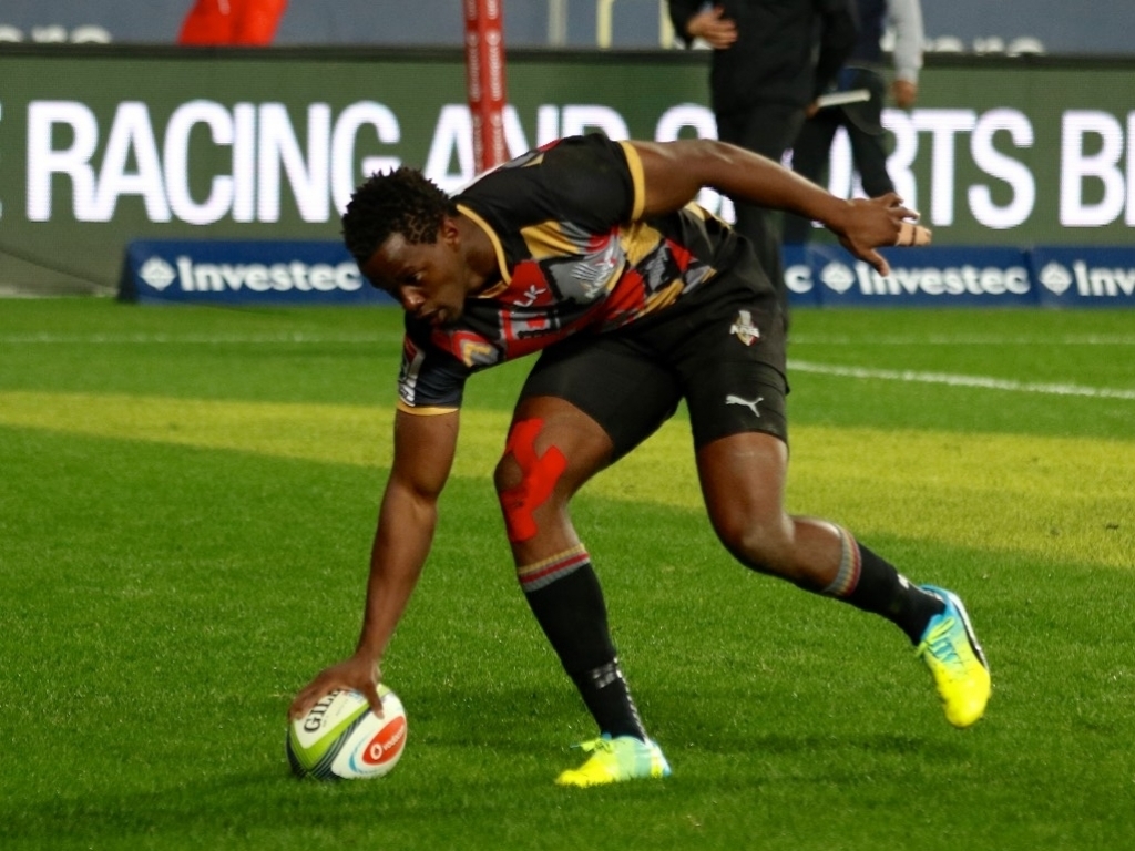 Kings quartet concussion concern | PlanetRugby