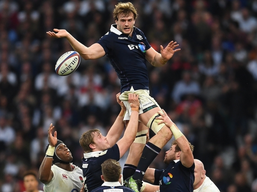 Richie Gray pulls out of Scotland squad | PlanetRugby