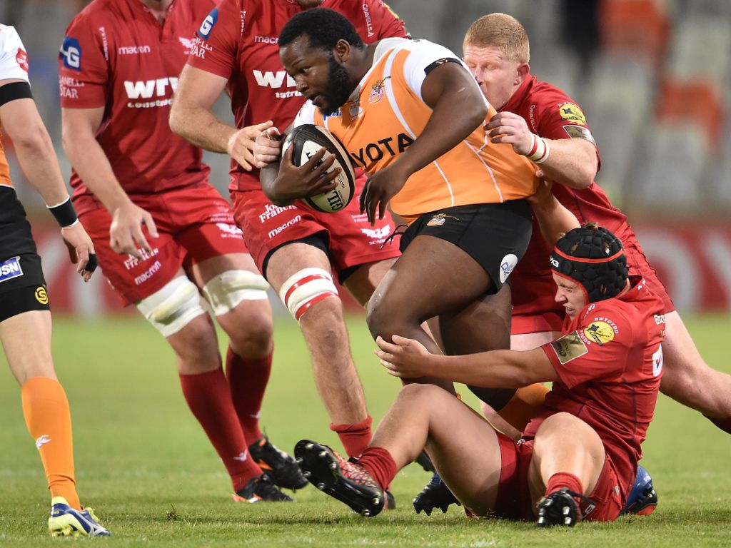 Ox Nche extends Cheetahs stay | PlanetRugby