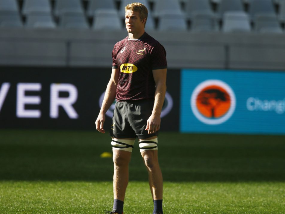 Springboks: Pieter-Steph du Toit set to return for the world champions ...