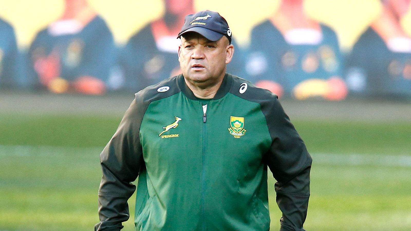 Springboks: Deon Davids' key areas they must improve against All Blacks ...