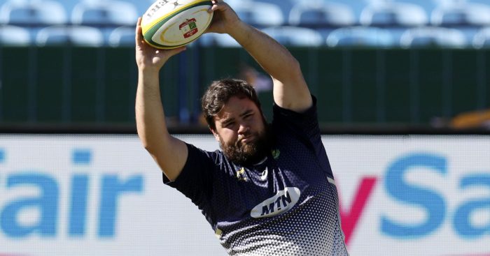 Frans Malherbe: First Test against All Blacks in Nelspruit will be ...
