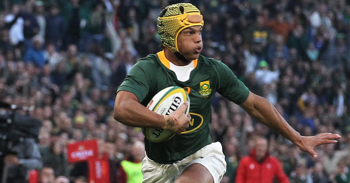 South Africa: Kurt-Lee Arendse preparing for tough end-of-year tour ...