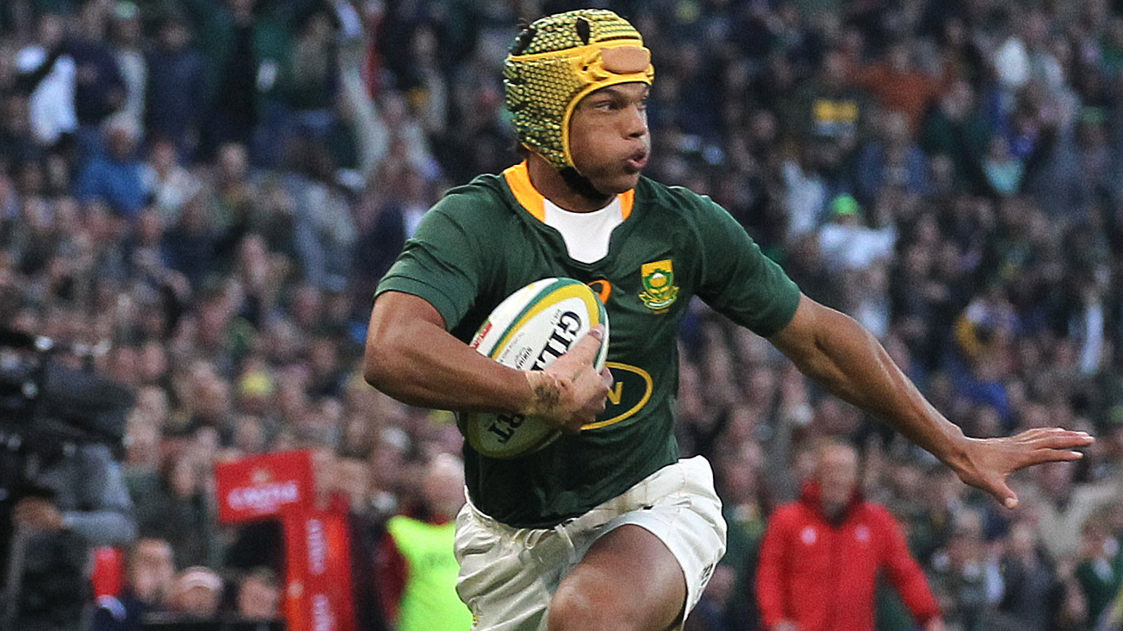 Springboks: Jacques Nienaber backing Kurt-Lee Arendse to shine ...