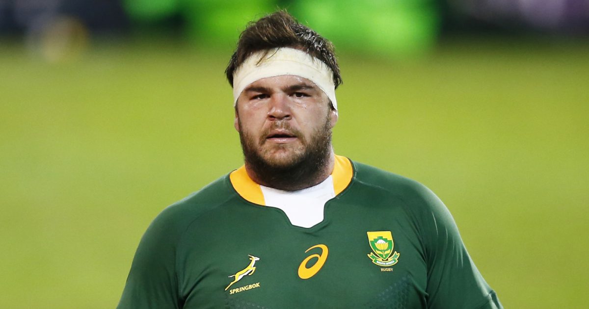 Springboks: 50 up for Frans Malherbe as Duane Vermeulen returns ...