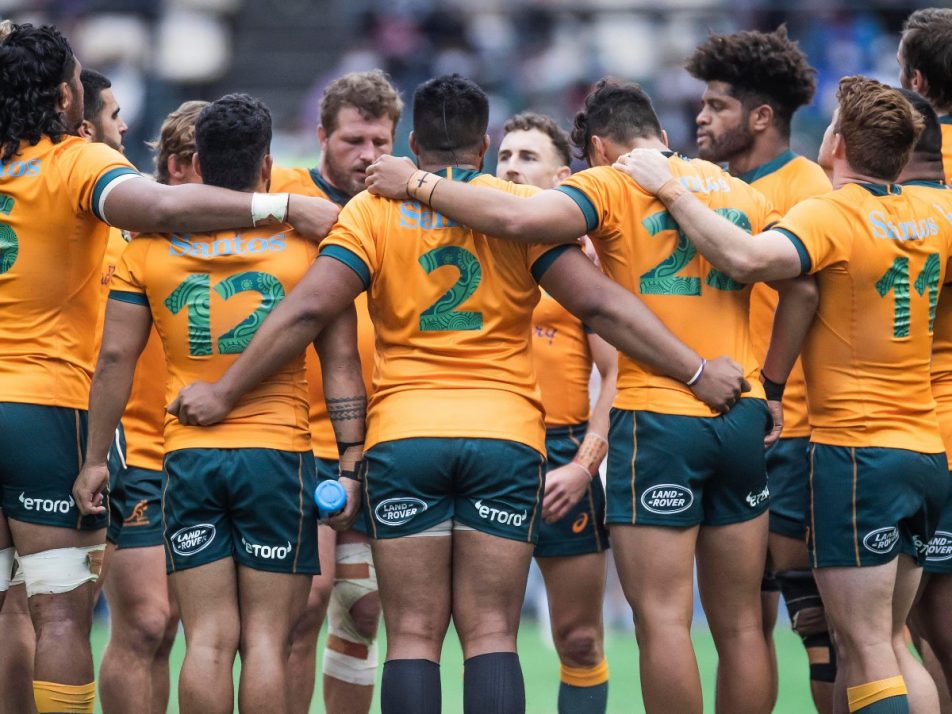 Wallabies: Squad striving for consistency after Springbok victory ...