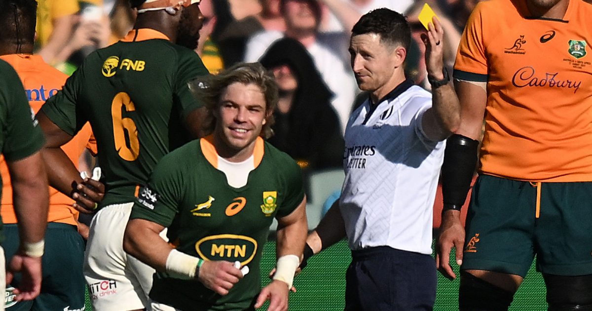 Springboks: South African journalist slams Paul Williams and Nic White ...