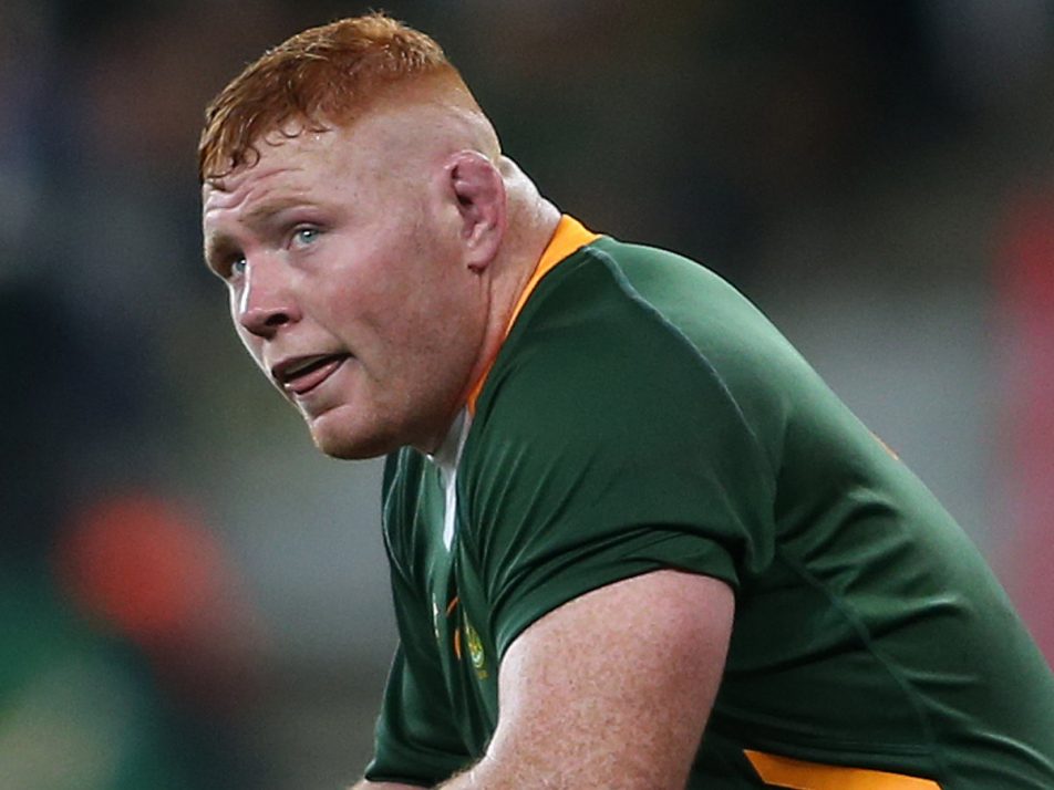 Rugby Championship: Steven Kitshoff backs Springboks to bounce back ...