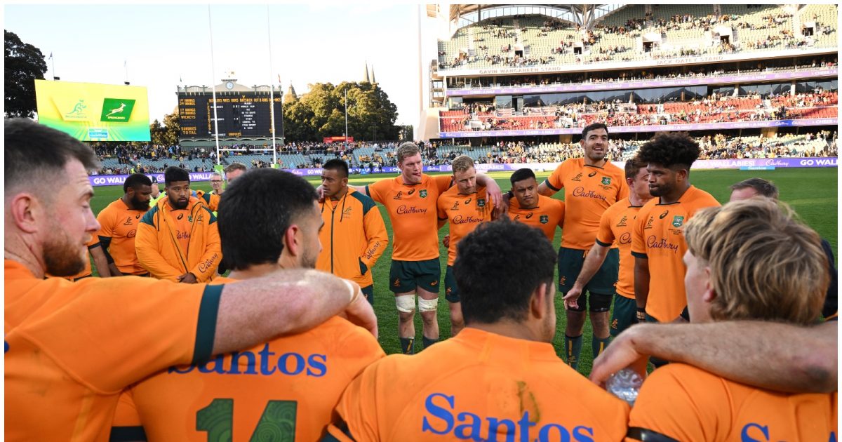 Wallabies: The lineout is a key work-on against the Springboks ...