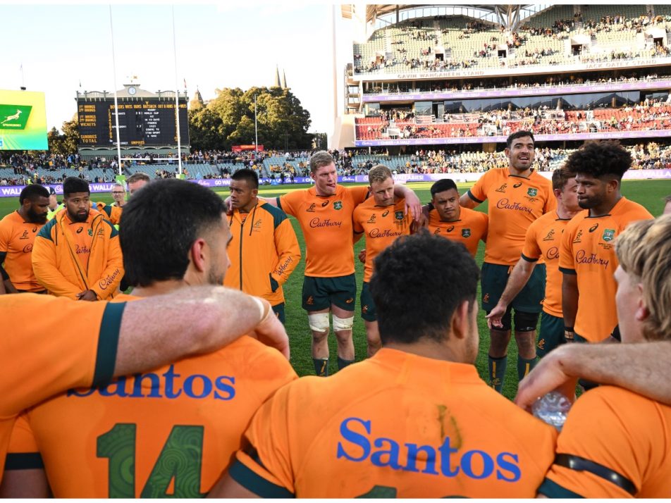 Wallabies: The lineout is a key work-on against the Springboks ...
