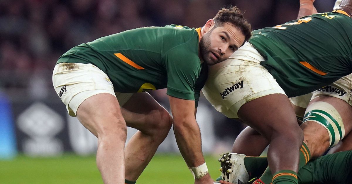 Springboks: Cobus Reinach and Deon Fourie raring to go against ...