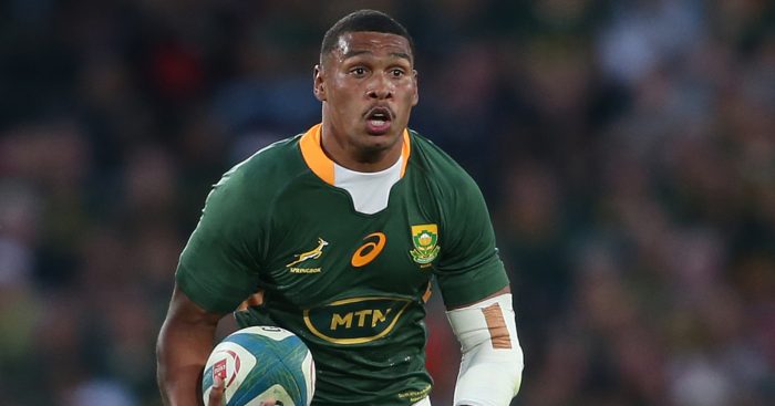 Springboks: Fly-half woes continue as Damian Willemse out of finale ...