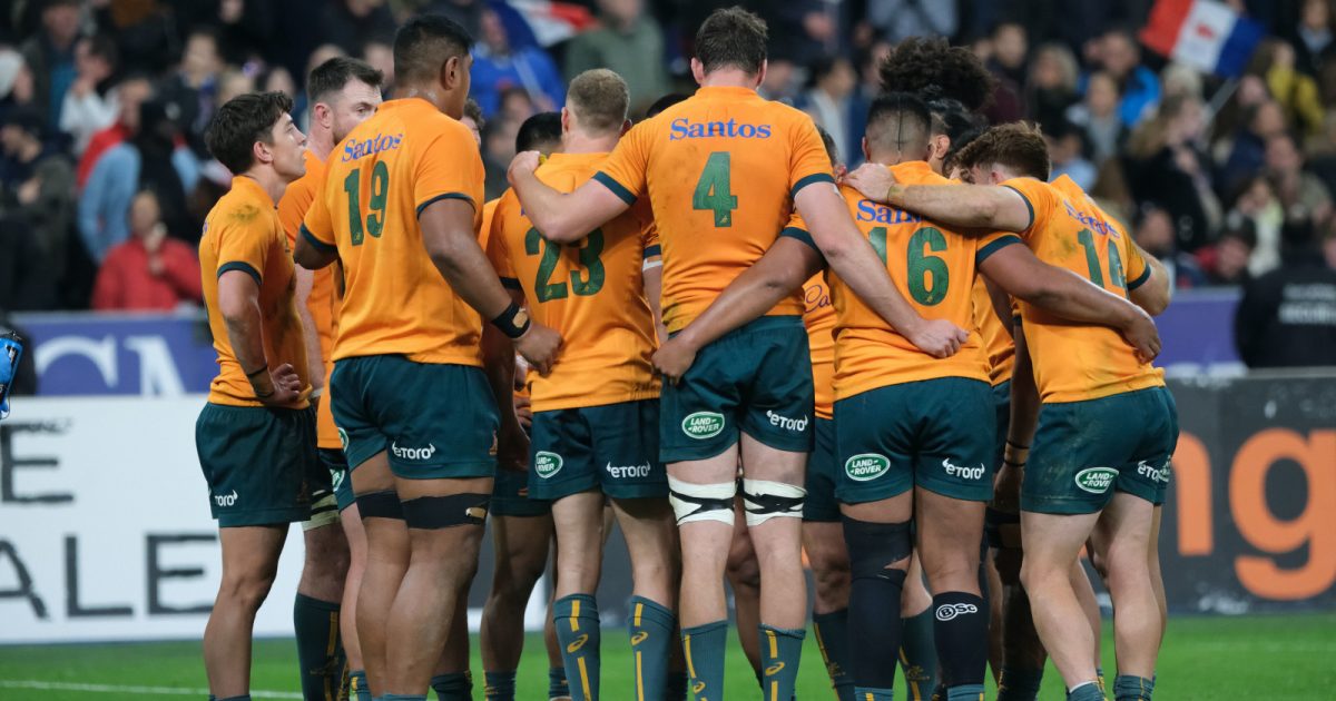 Wallabies: Legend Tim Horan believes Australia are ‘not far off’ the ...