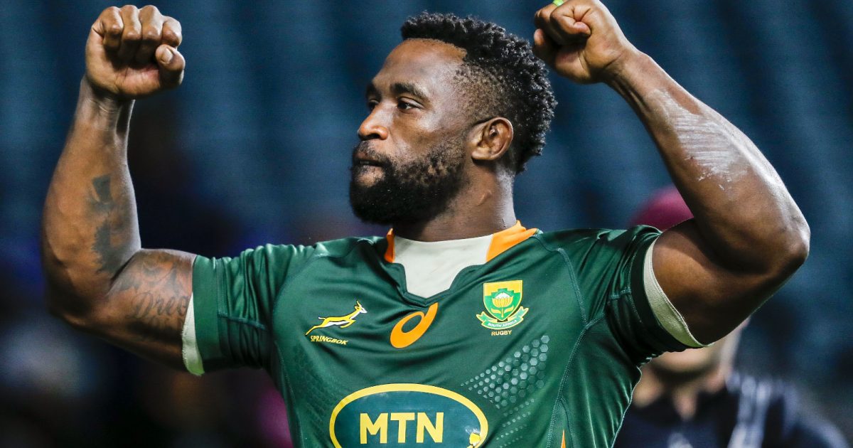 South Africa player ratings: Springboks flex their muscles against ...