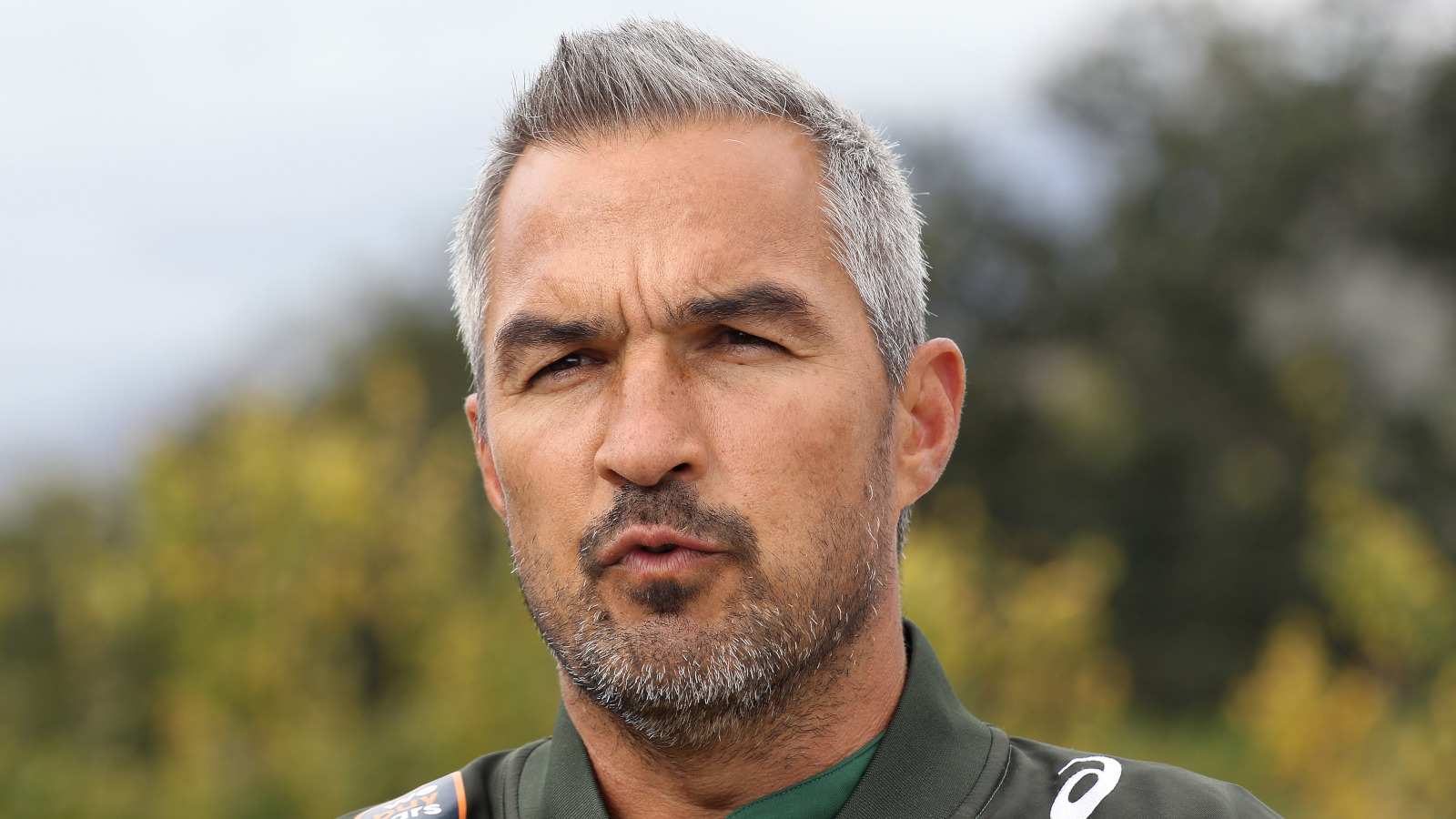 Champions Cup: Powell says teamwork is key for Springbok-laden Sharks ...