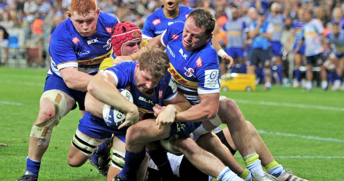 Stormers: Evan Roos relieved to be back on the field and contributing ...