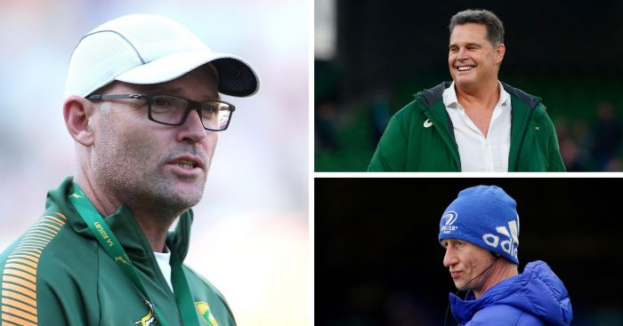 Springboks: 'No rush' to name Nienaber's successor, Erasmus could ...