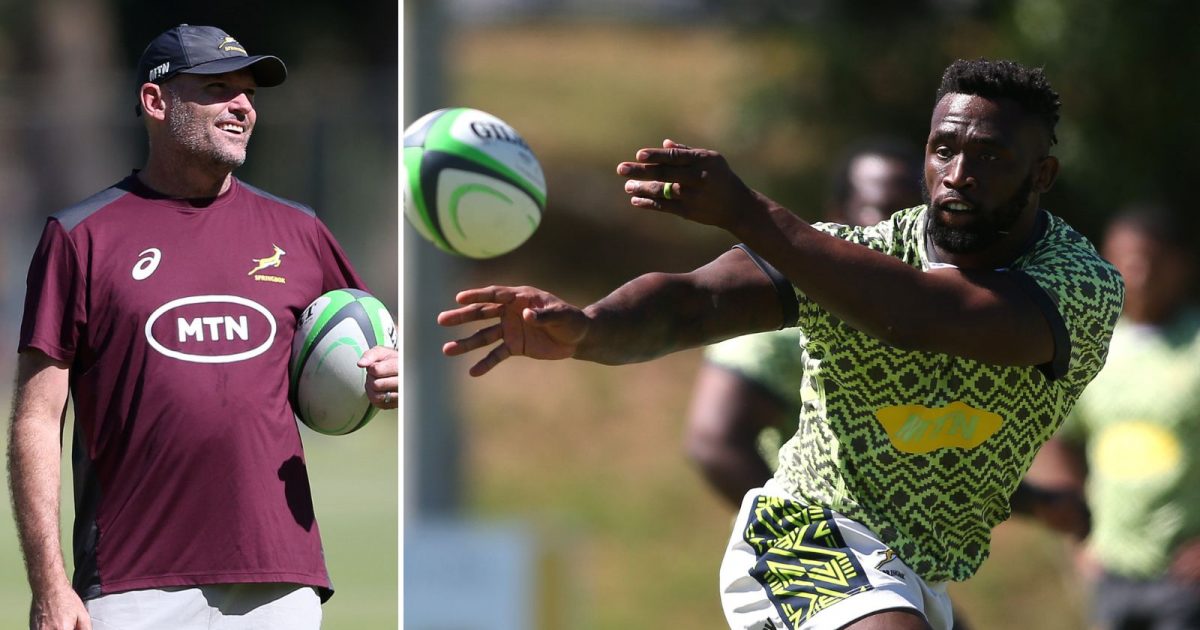 Springboks: Injured captain Siya Kolisi included in 15-man training ...