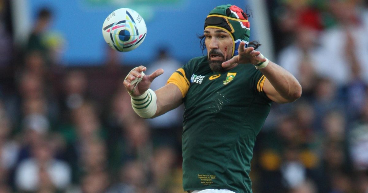 Victor Matfield Everything You Need To Know About The Springbok Legend Planetrugby
