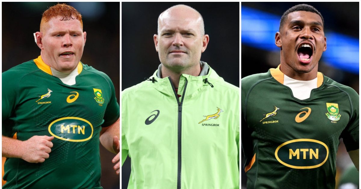 Rugby Championship preview: Springboks set to challenge for honours ...