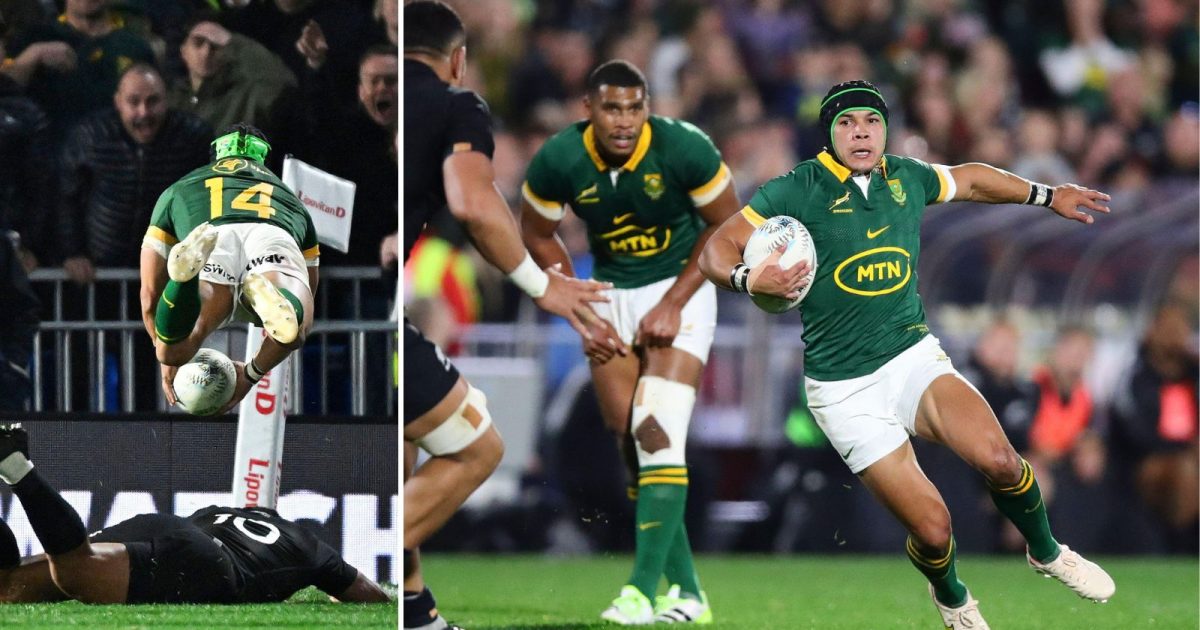 Springboks player ratings: Cheslin Kolbe the standout in a forgettable ...