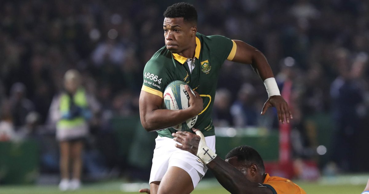 Jacques Nienaber backing rookie to deliver the goods for Springboks ...