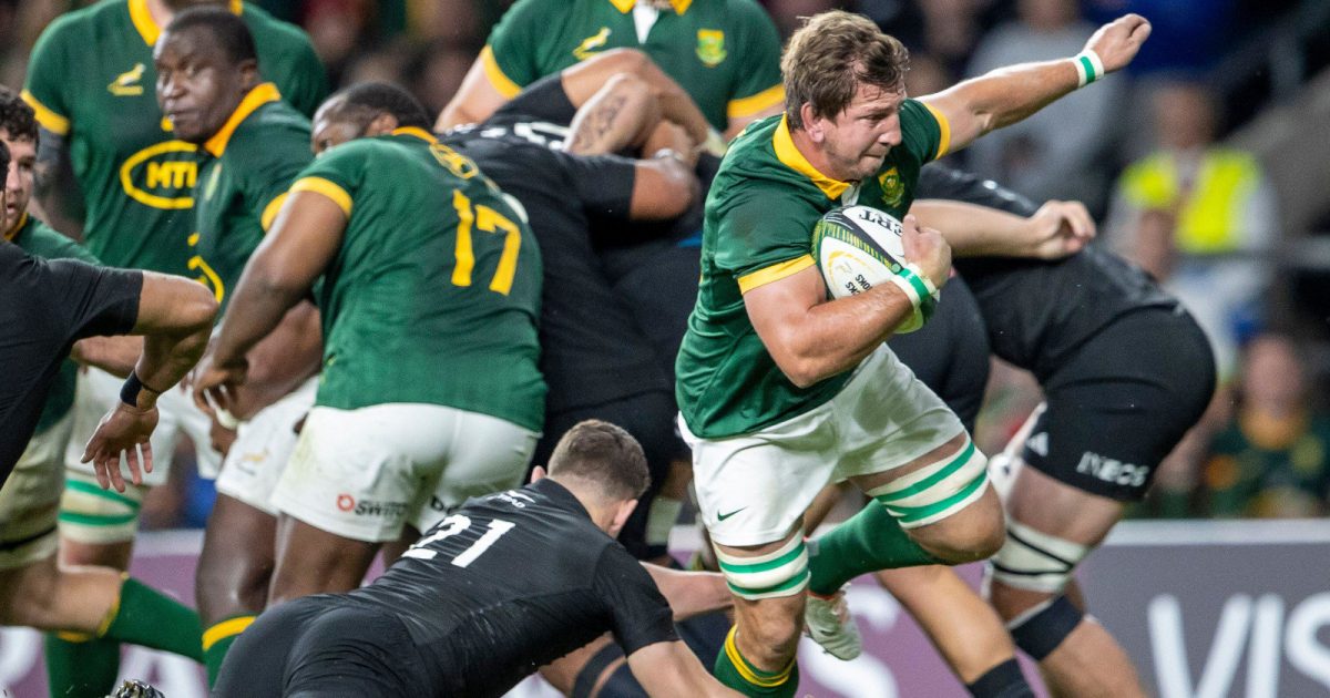 Les Springboks trouvent un allié chez un ancien talonneur irlandais ...