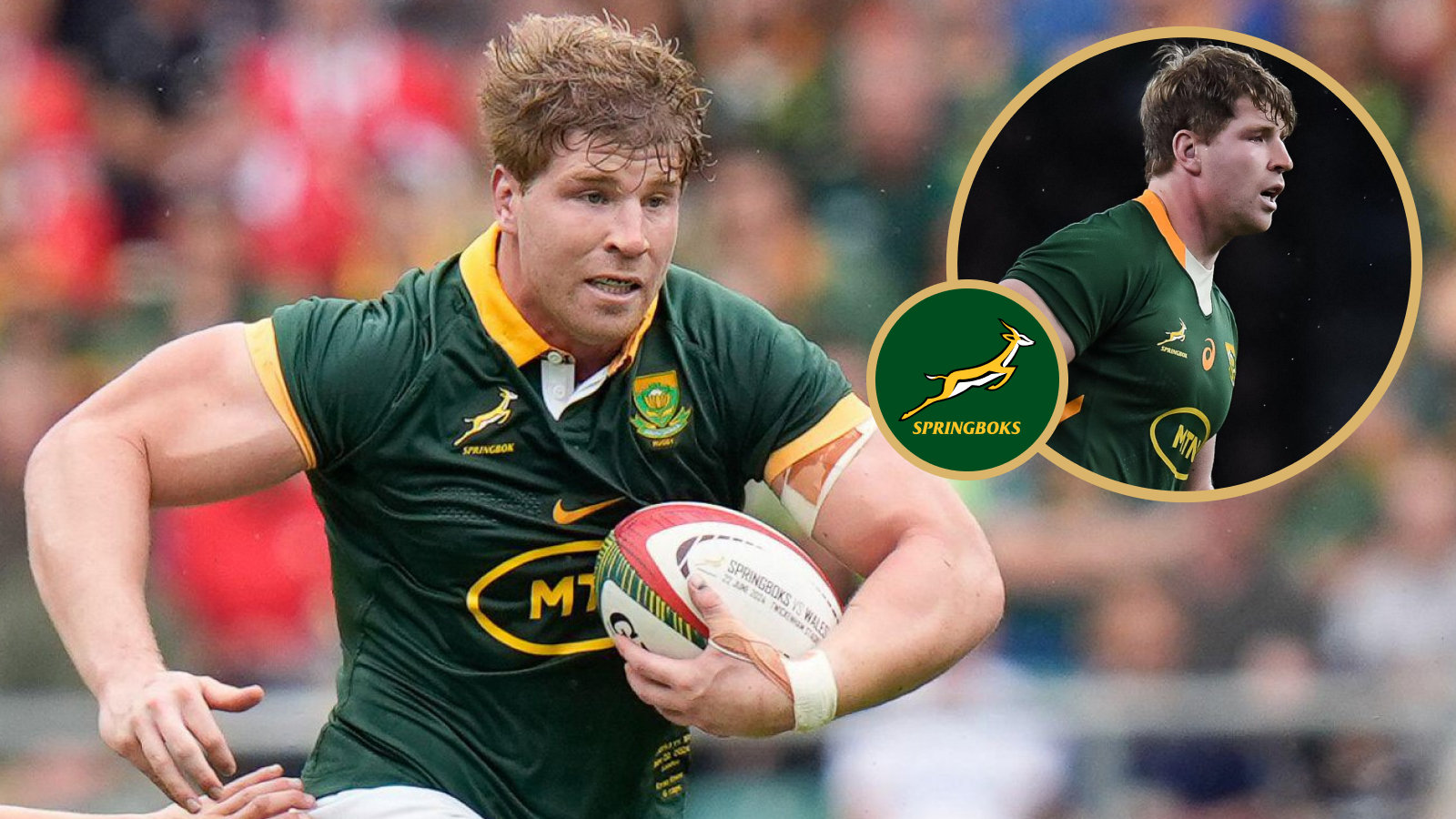 Springboks: More misery for Evan Roos after Rugby Championship snub