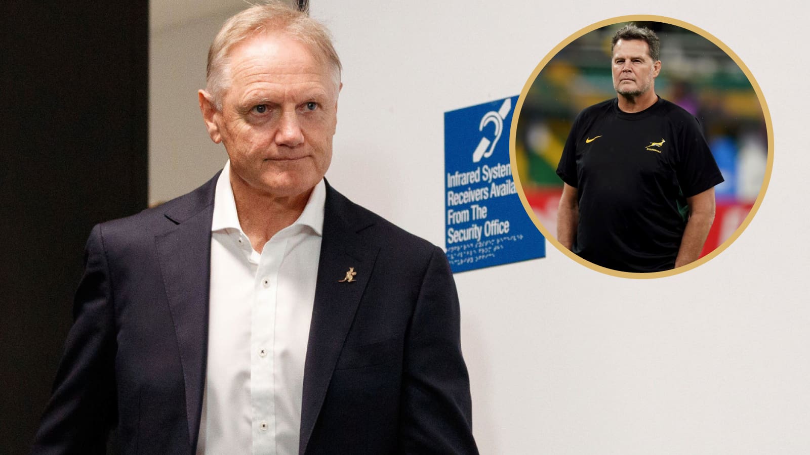 Rassie Erasmus: Joe Schmidt pressuring 'referees’ with Springboks claim
