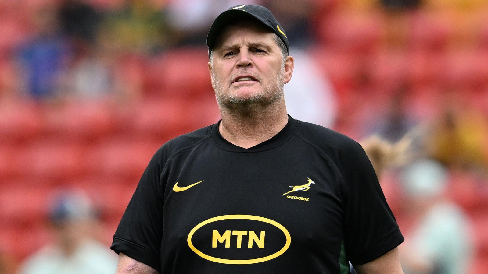 Rassie Erasmus: Springboks v All Blacks Tests will be 'a step up'