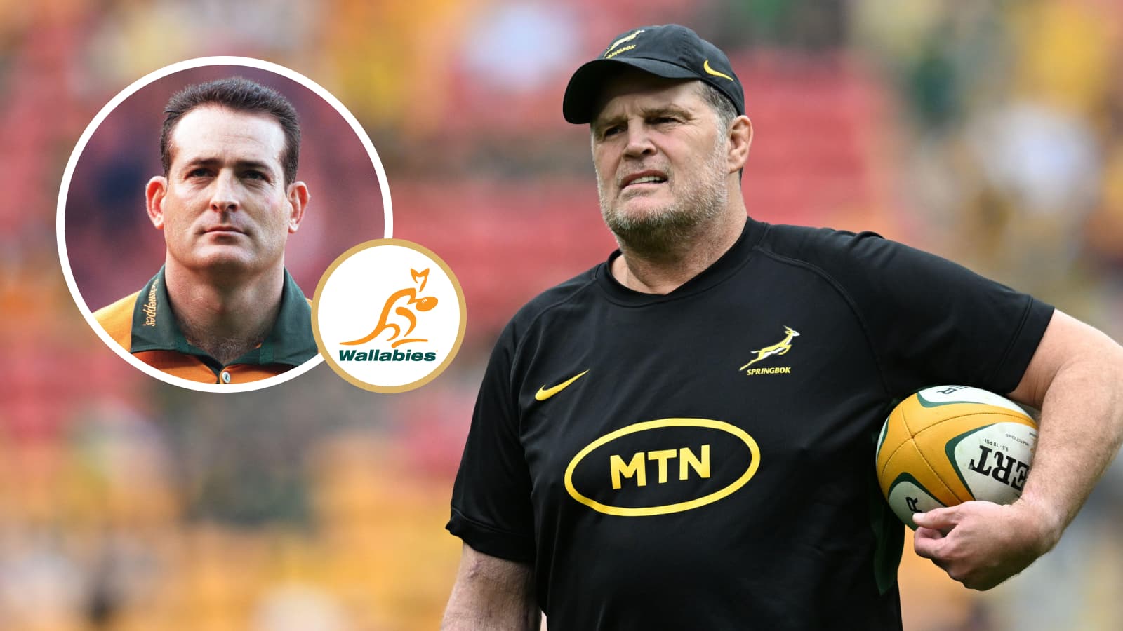 David Campese: Joe Schmidt must follow Springboks 'genius' Rassie