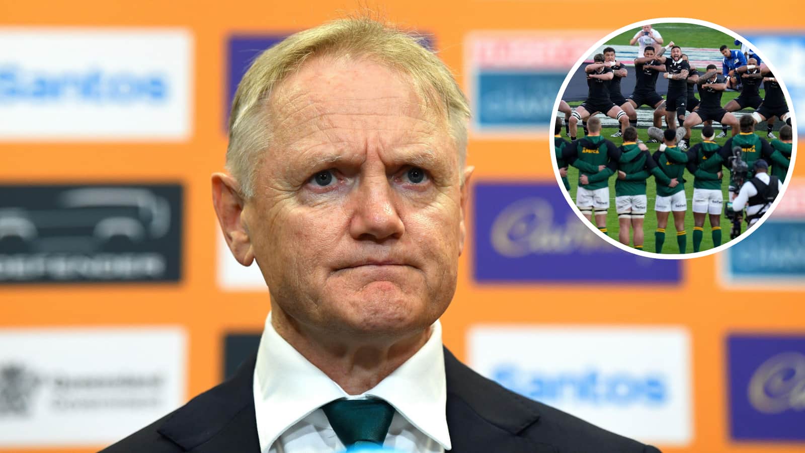 Joe Schmidt reacts to Springboks v All Blacks tours
