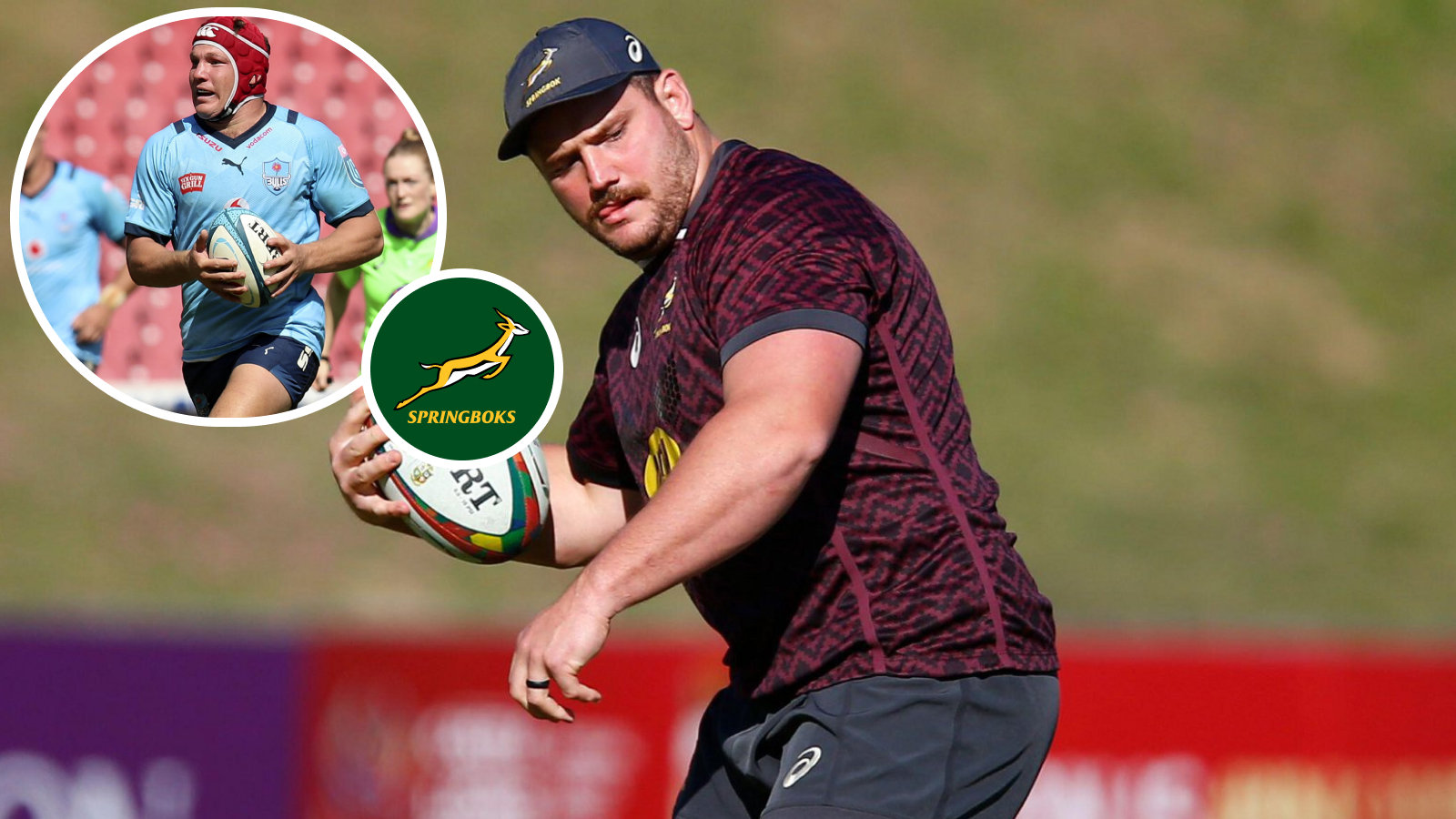 Springboks: Rassie Erasmus explains double call-up for overlooked duo