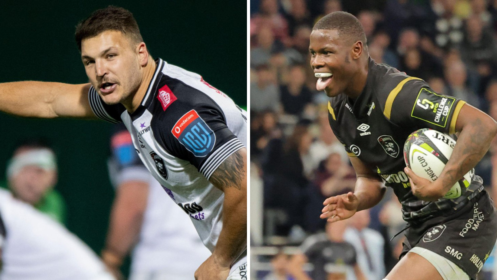 Springboks Andre Esterhuizen and Aphelele Fassi injury worries for Sharks