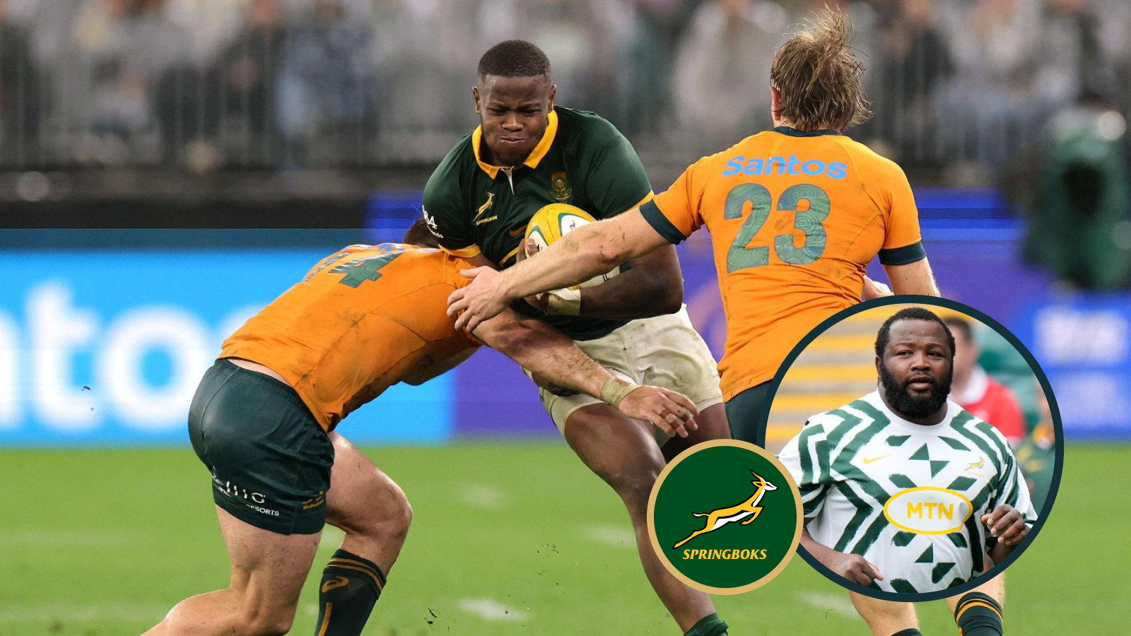 Springboks: Aphelele Fassi embracing fresh challenge