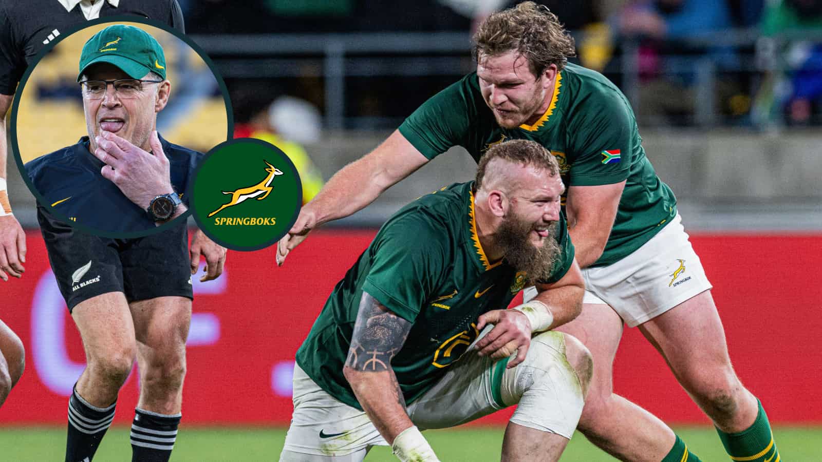 Ex-All Black hails Springboks who sacrificed desire to 'dismantle'