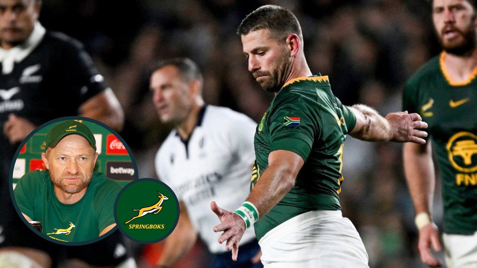 Tony Brown explains why Willie le Roux has rejoined Boks squad