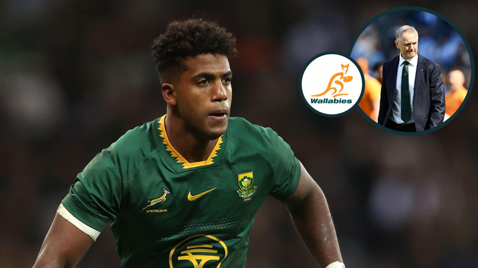 Joe Schmidt names ‘freakish’ Springbok he would love to pick