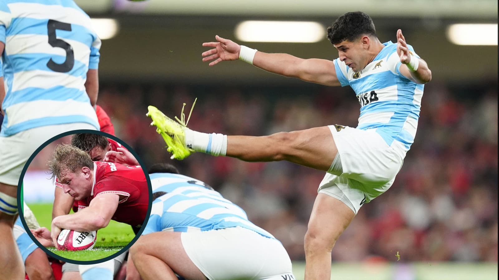 Wales v Argentina: 5 takeaways as 'gulf in class' evident in Cardiff