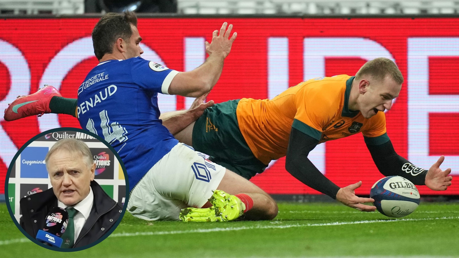 Joe Schmidt urges fans not to 'give up' on 'hurt' Wallabies