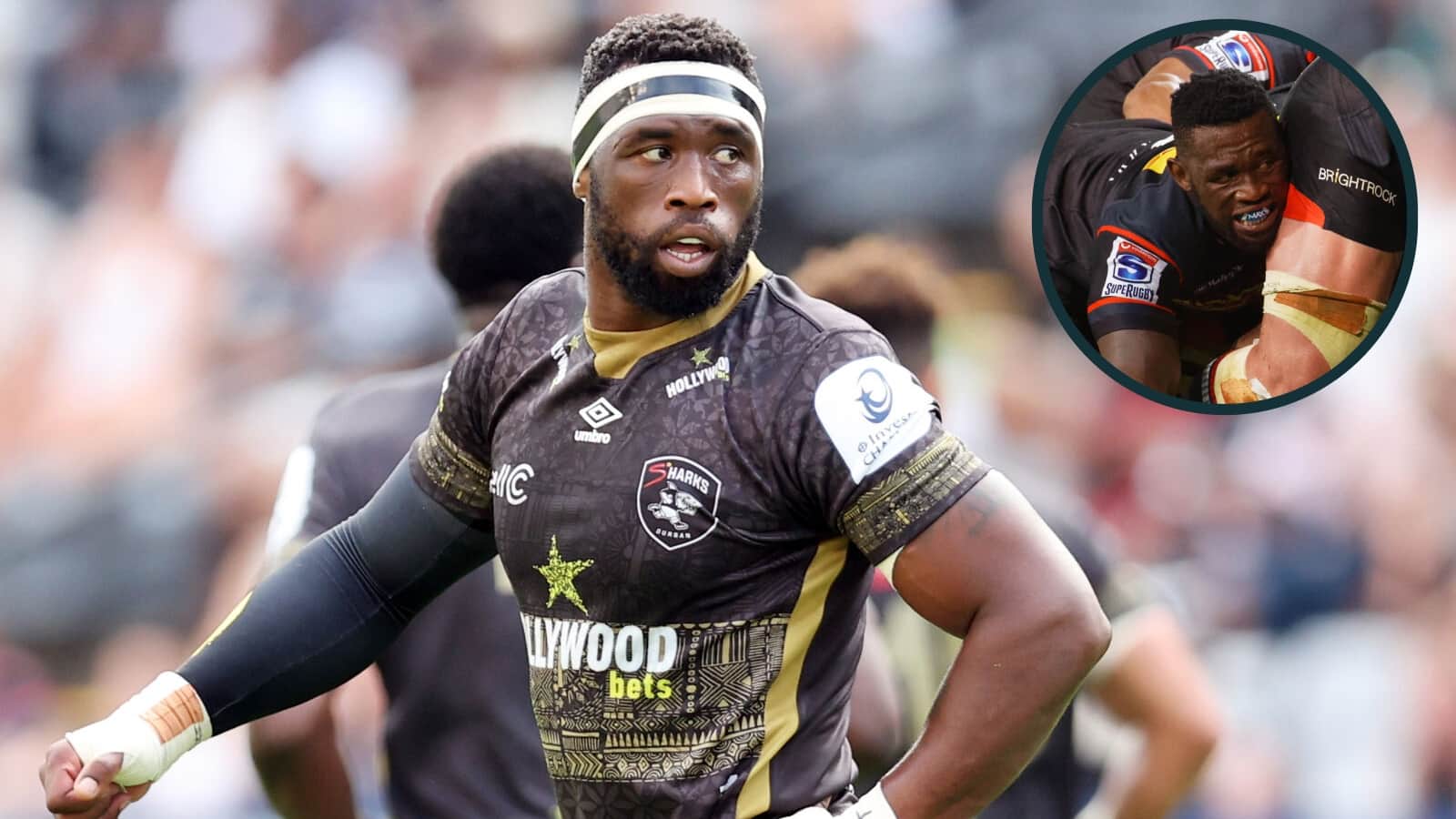 Siya Kolisi wanted to retire at Sharks but explains why is returning to ...