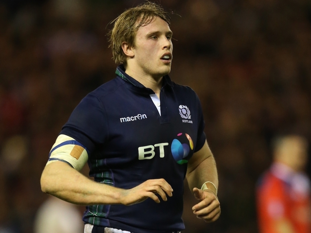 Scotland lock Gray set for scan | PlanetRugby : PlanetRugby